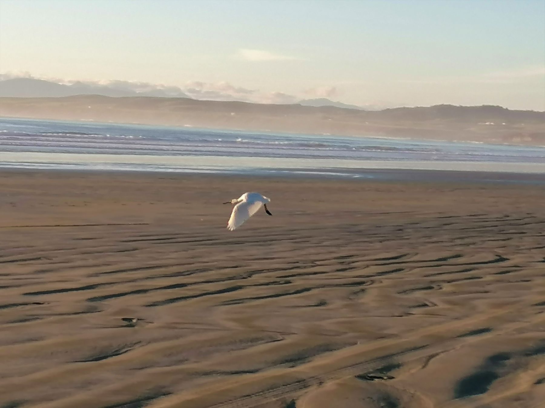 Floundering Around - Humming Along